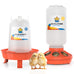 1L Chick Feeder, 1.5L Chick Waterer - Chick Starter Kit - Duckling ...