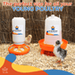 1L Chick Feeder, 1.5L Chick Waterer - Chick Starter Kit - Duckling ...